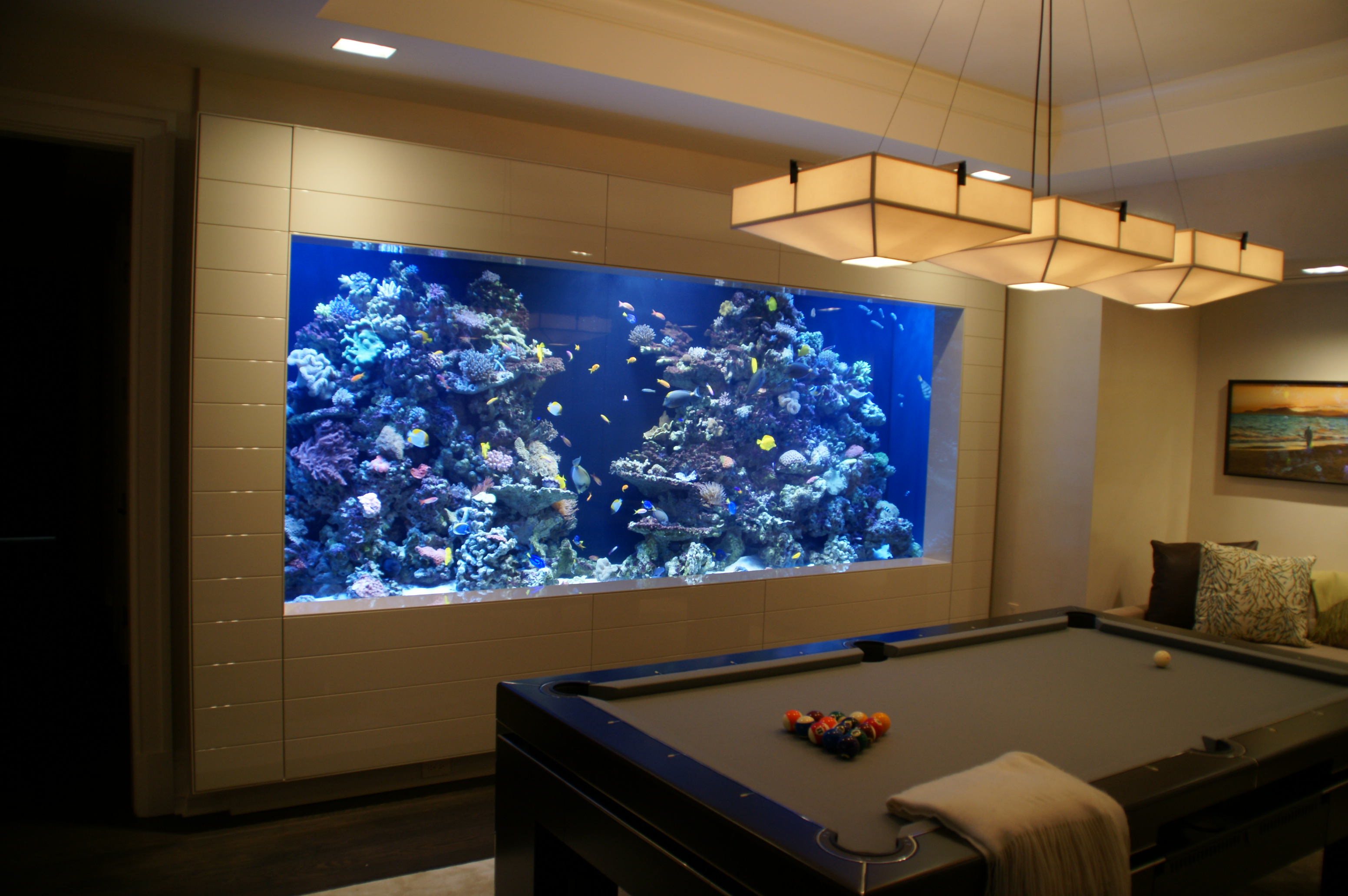 CalAquaria.com | Custom Aquarium & Fish Tanks