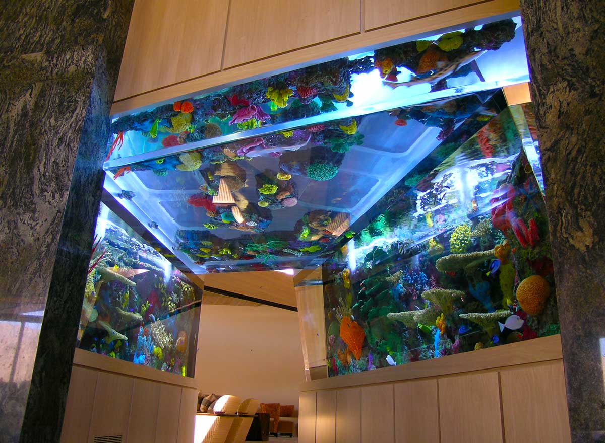 CalAquaria.com | Custom Aquarium & Fish Tanks